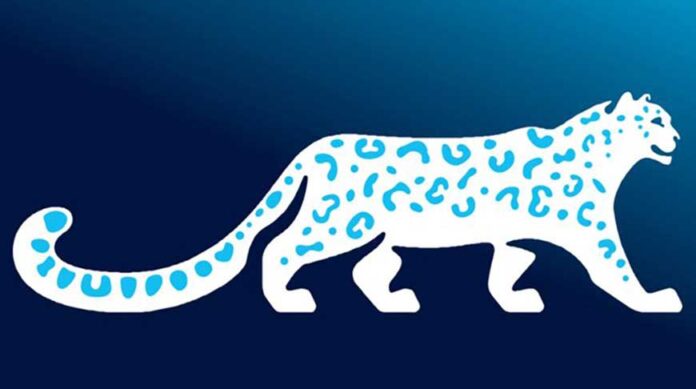 Snow leopard becomes national symbol of Kyrgyzstan | Zaman Türkmenistan